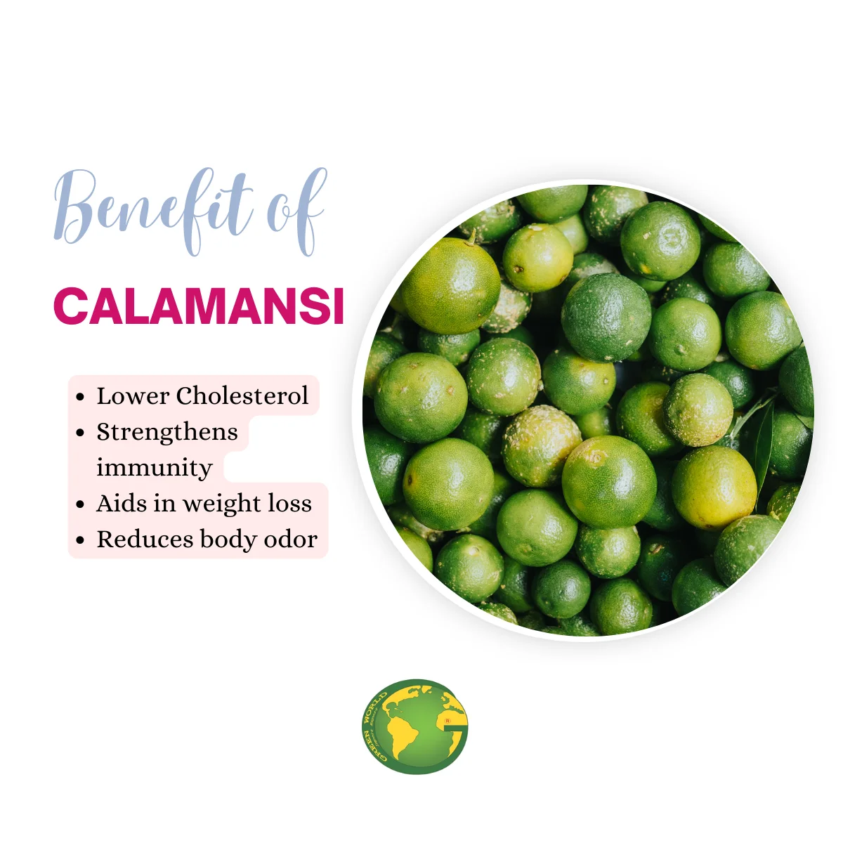 High Quality Frozen Calamansi Fruit Puree From Vietnam Healthy Prompt ...
