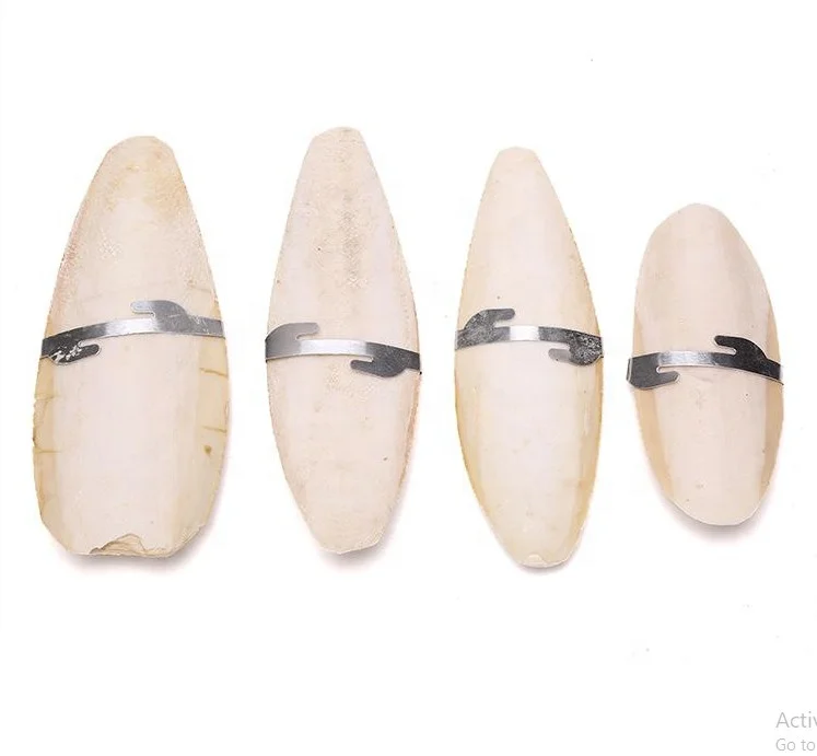 Cuttlefish Bone /dried Cuttlefish Bone/ Sepia /cuttlebone /hai Piao ...