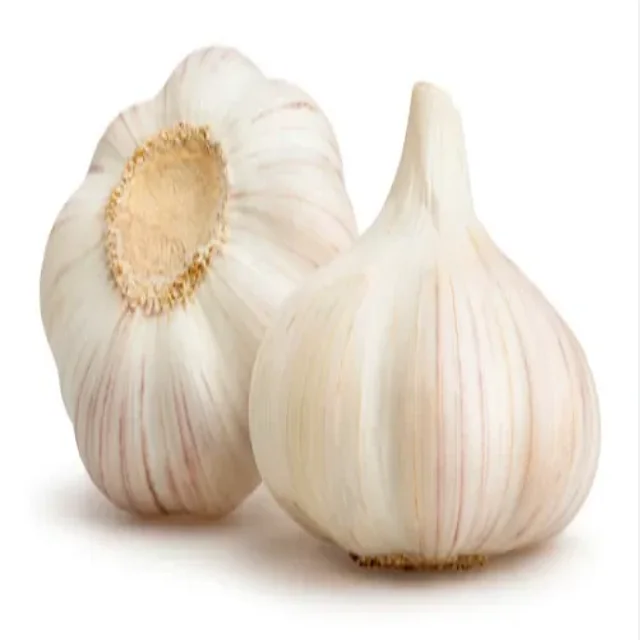 Fresh Garlic New Crop Supply Garlic Normal White And Pure White From ...