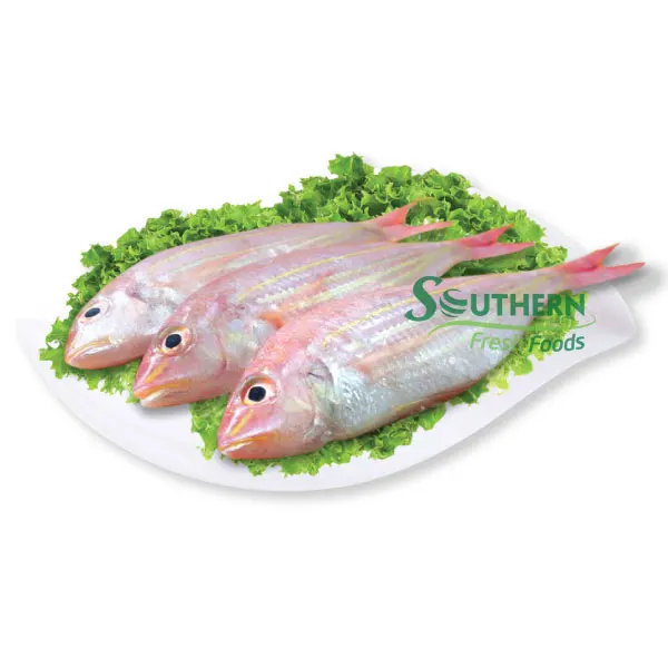 Frozen Packaging Weight Shelf Sff Bulk Style Wild Caught Origin Life ...