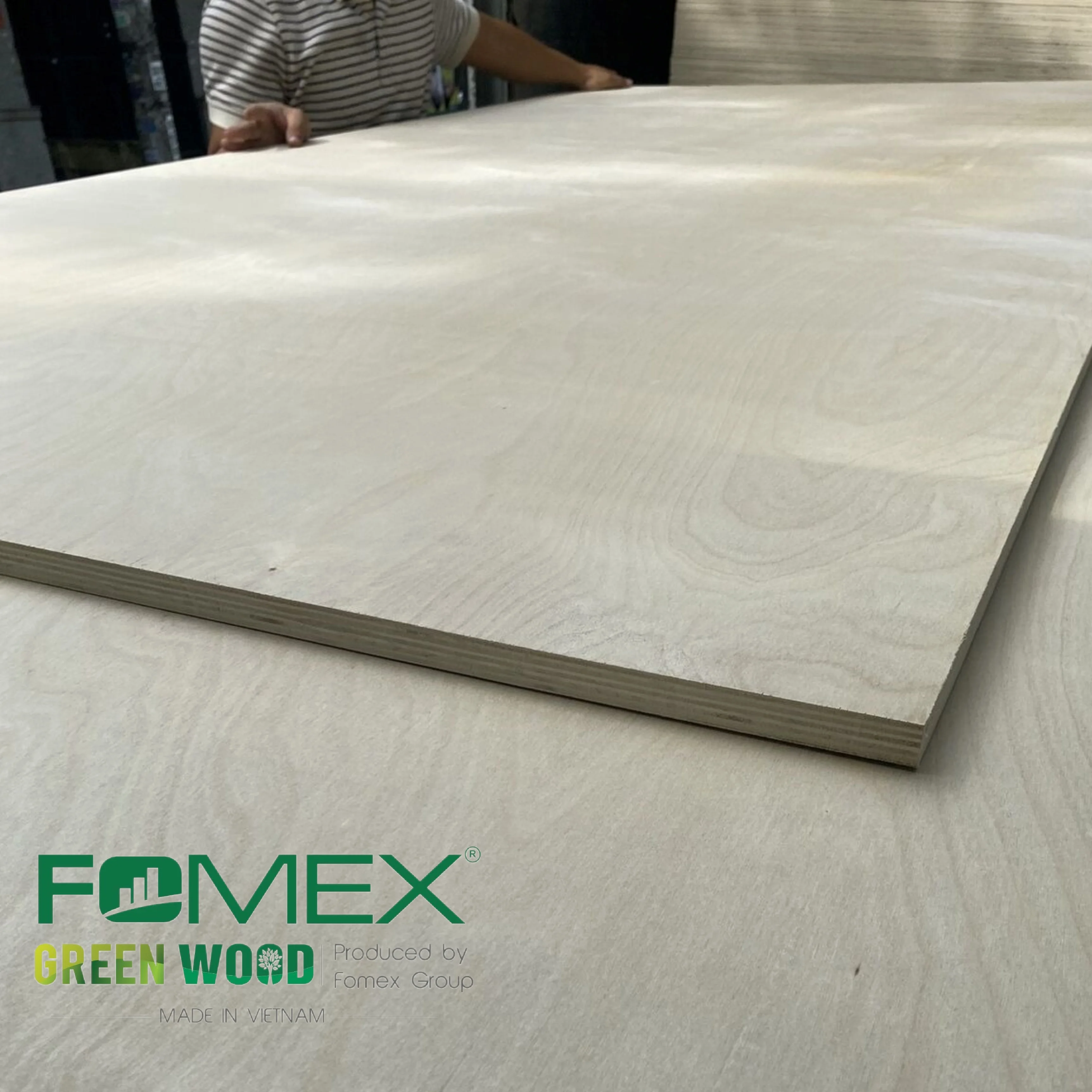 Vietnam Manufactured 5-24mm 4x8ft C/d Grade Birch Plywood Made Of Eucalyptus/ Acacia For Us ...