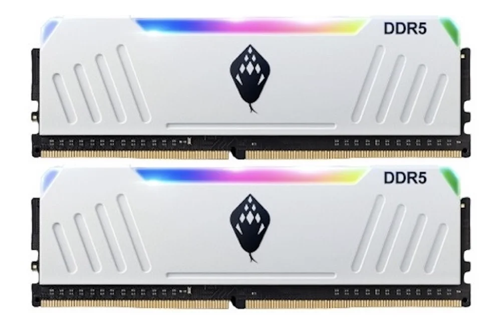 Ddr5 Rgb Overlocking Anacomda Et Rgb Udimm Ddr5 Ram Memory 7200mhz Cl34 ...