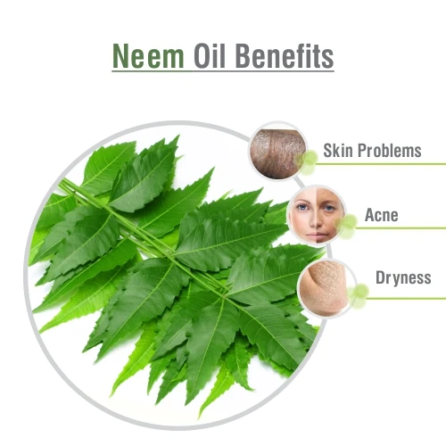 Neem Oil 100% Pure And Natural Wholesale Bulk Lowest Price Customized ...