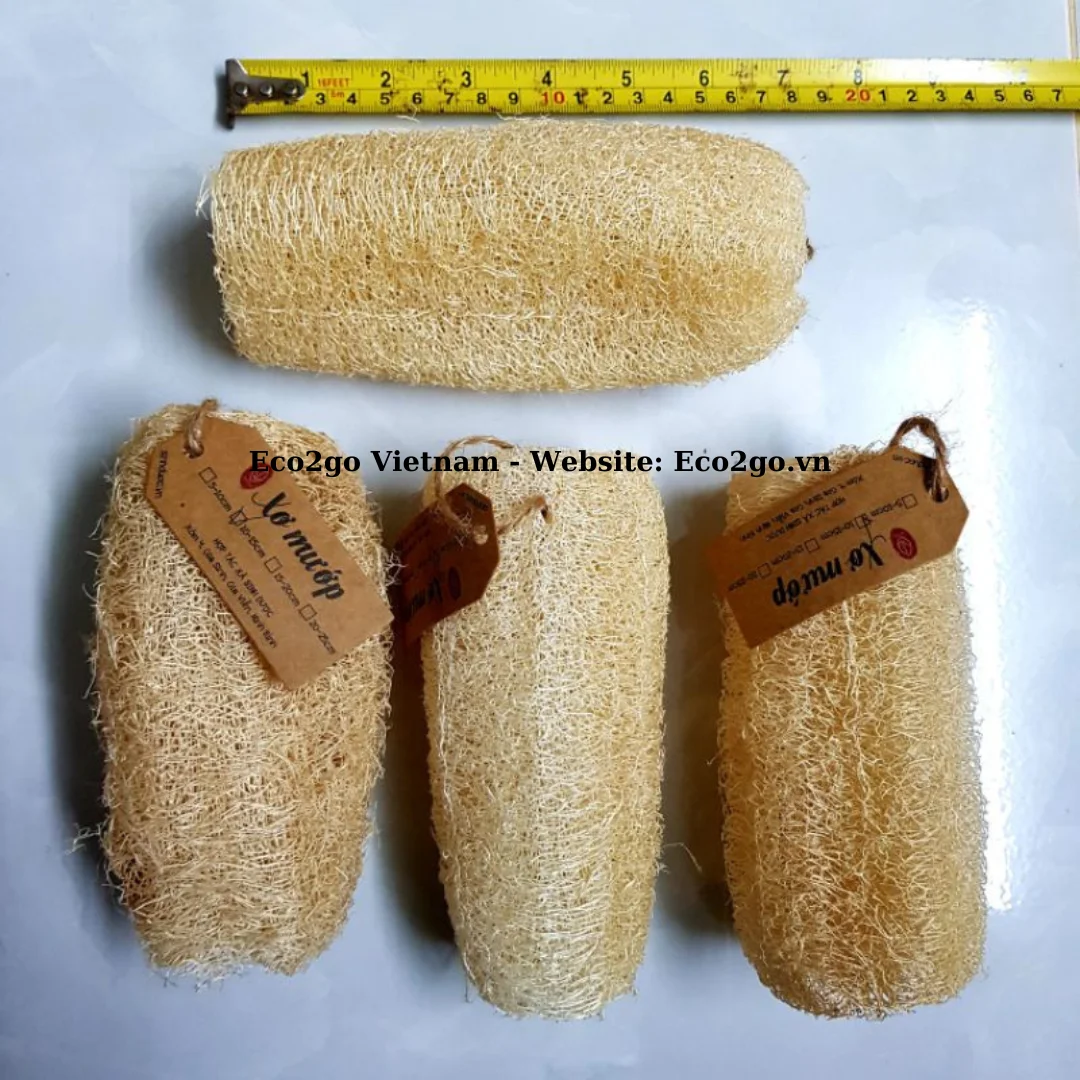 Wholesale Organic 100% Natural Loofah Sponge by Eco2go Vietnam
