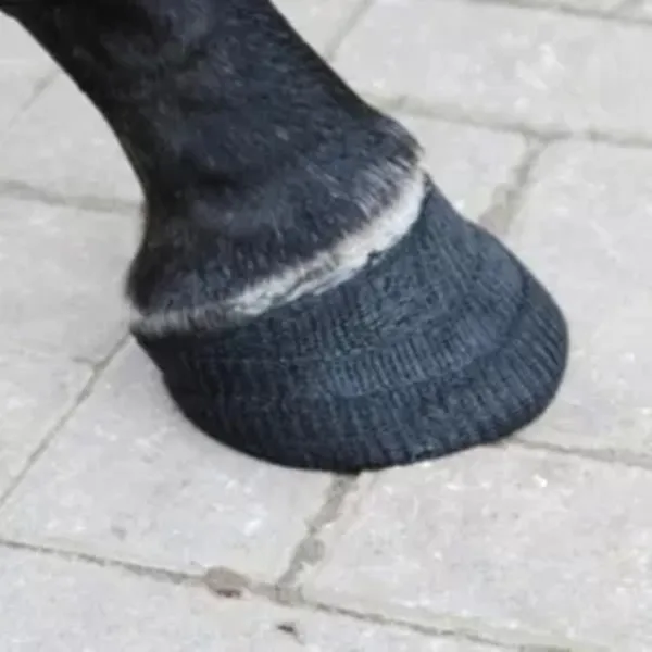 Squid Factory Supply Horse Hoofcare Cast With Certifications Hoof Cast ...