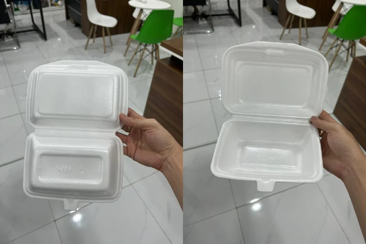 Eco-friendly Polystyrene Foam Food Boxes from Blue Lotus Vietnam