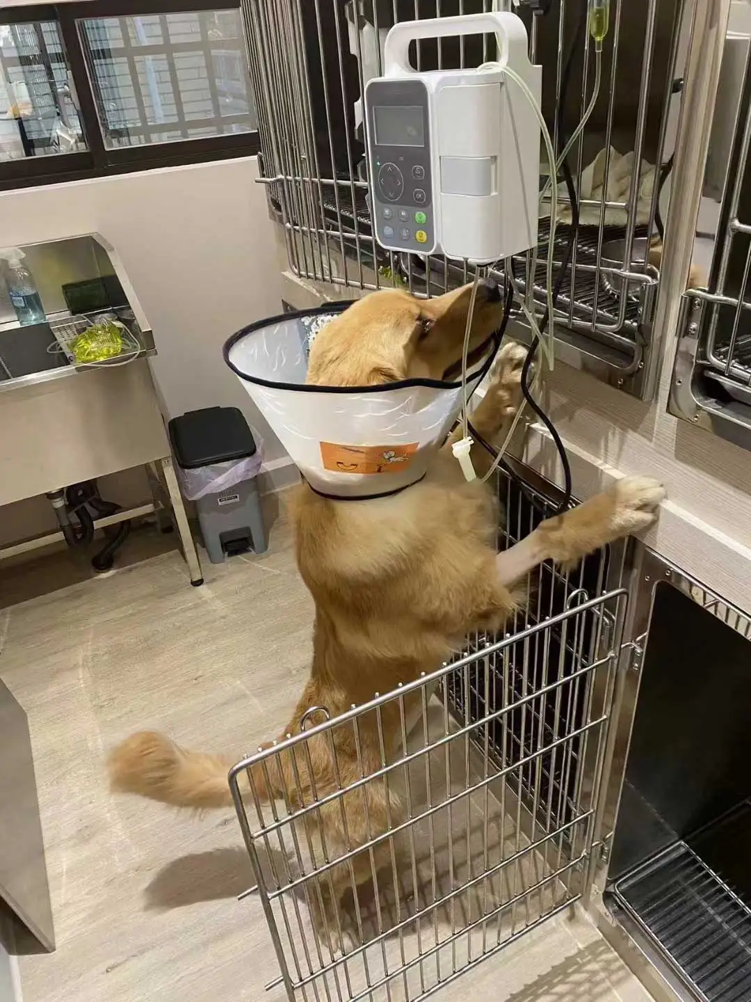 Pet Syringe Pump Infusion Pump Workstation Veterinary Animal High ...