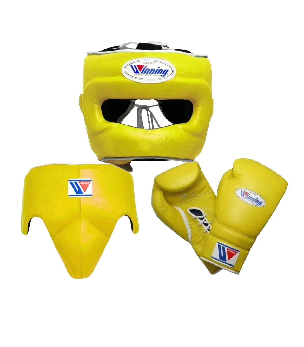 Customized Professional Boxing Sets - Genuine Leather