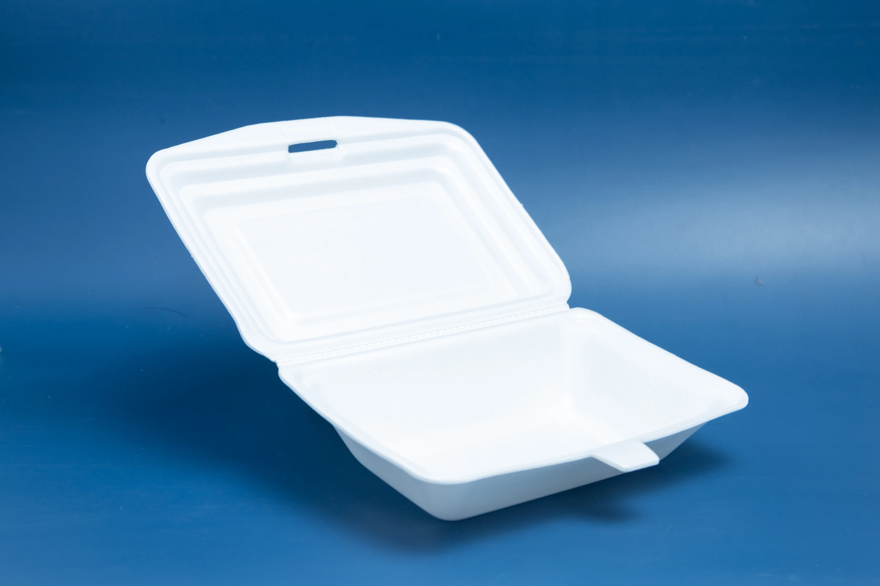 Disposable Partition Food Containers Food Container Supplier Ps Foam Takeaway Food Containers ...