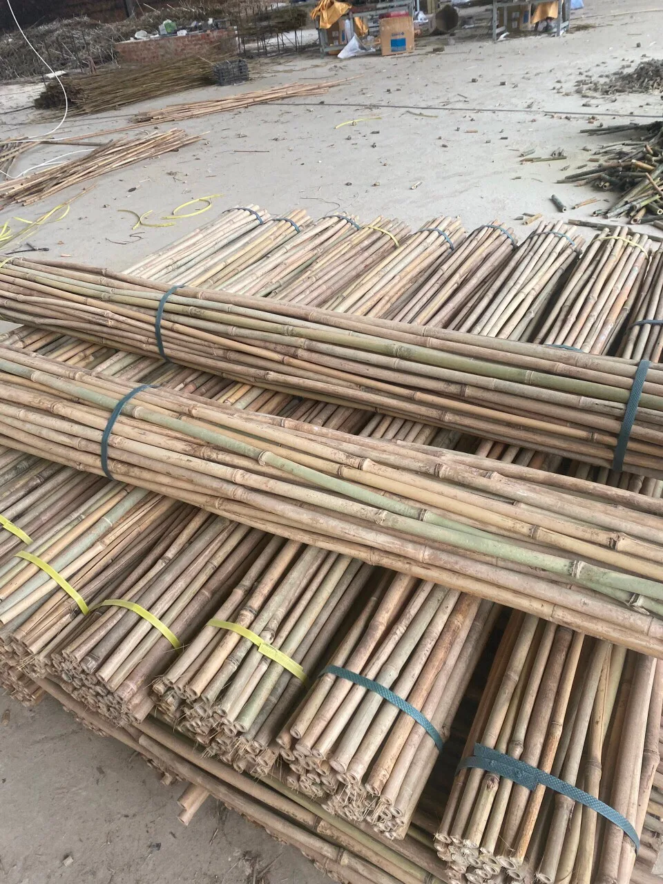 Dried Treated Bamboo Poles/canes/stakes Poles For Bamboo Raw Garden ...