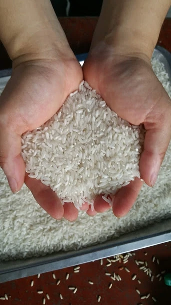 Basmati Rice/ Long Grain White Rice/ 1121 Sella Basmati Rice Available ...
