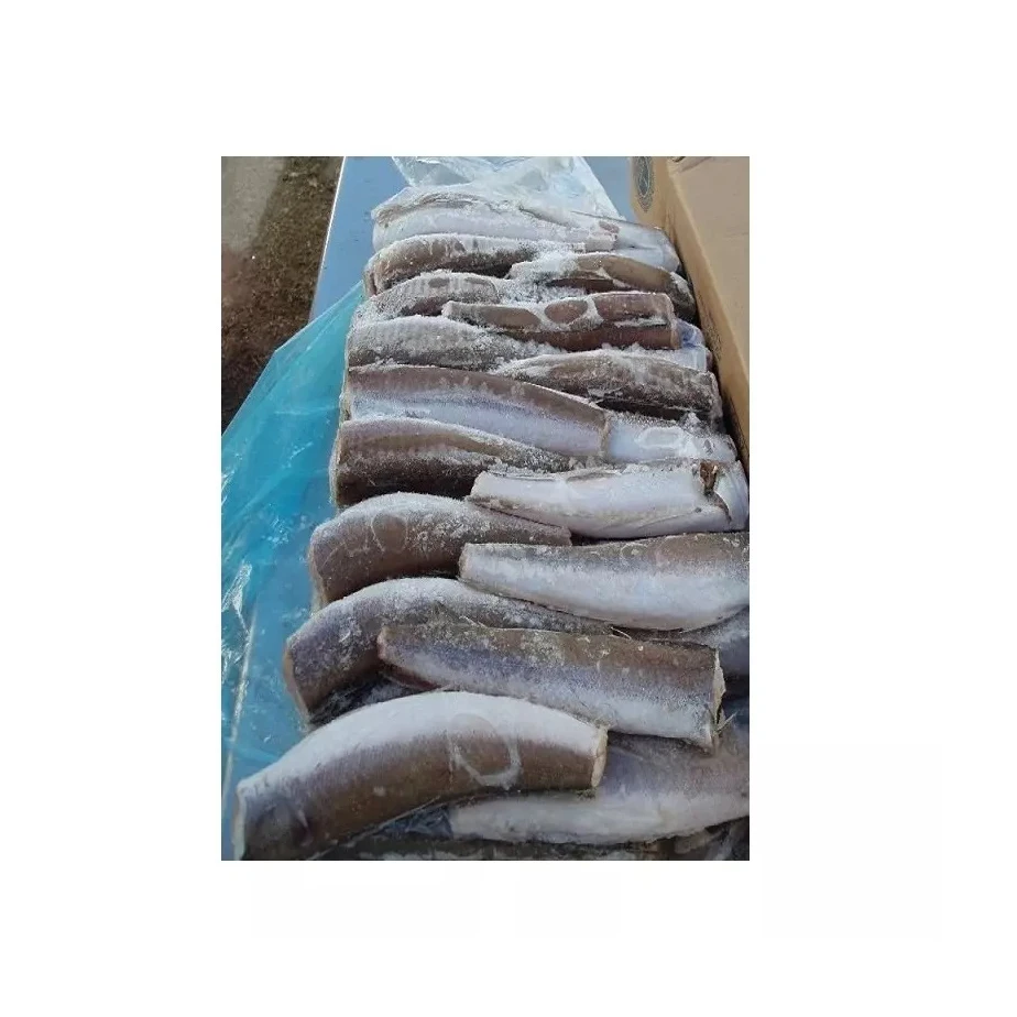 Frozen Horse Mackerel Pacific Mackerel Tuna Trout Bonito Tilapia Squid ...
