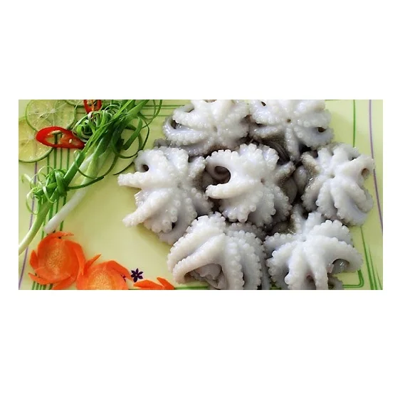 Frozen Seasoned Baby Octopus Octopus Fresh Frozen Baby Octopus For Sale ...