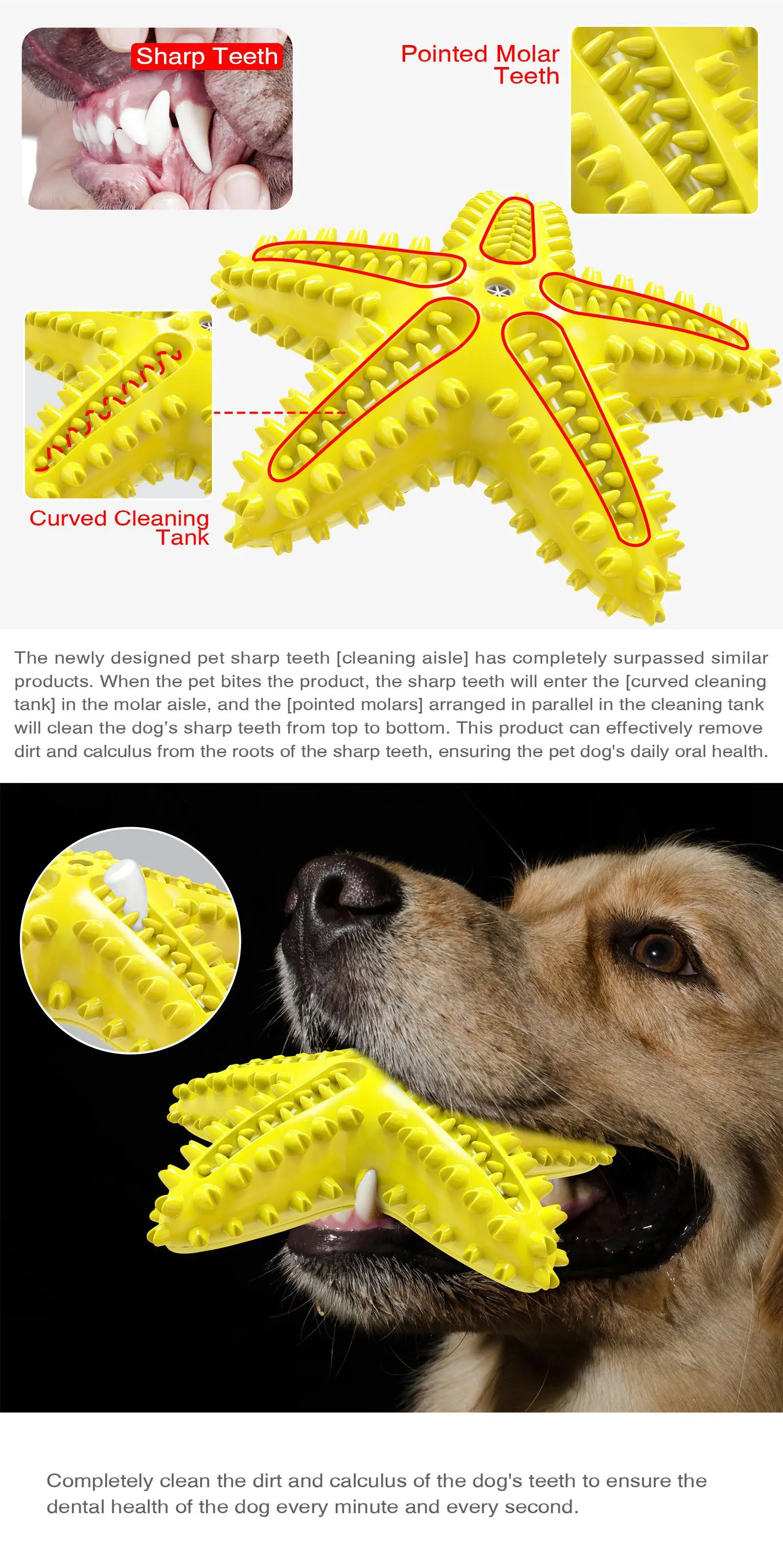 Starfish Design Water Floating Durable Dog Teeth Cleaning Toy - Buy ...