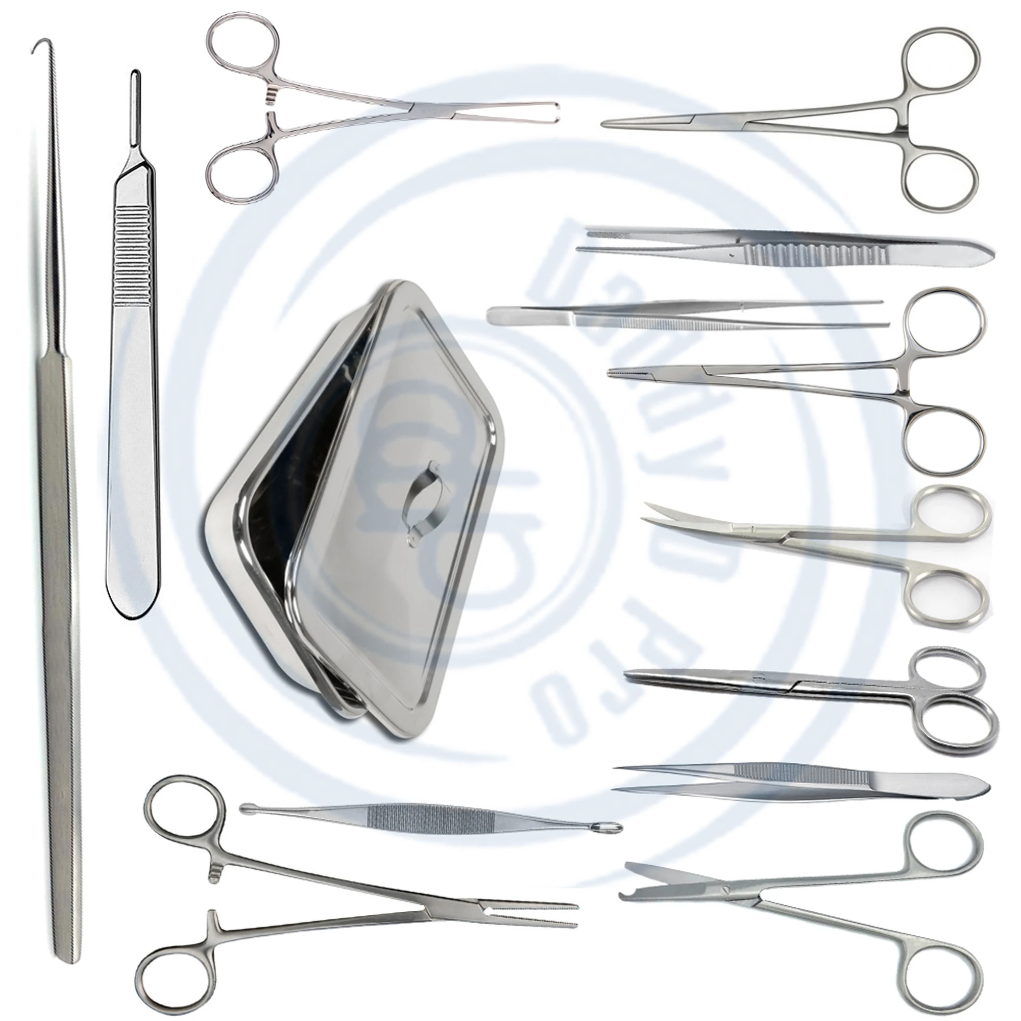 14 PC Minor Surgery Instrument Set - High Quality GERMAN Steel DDP