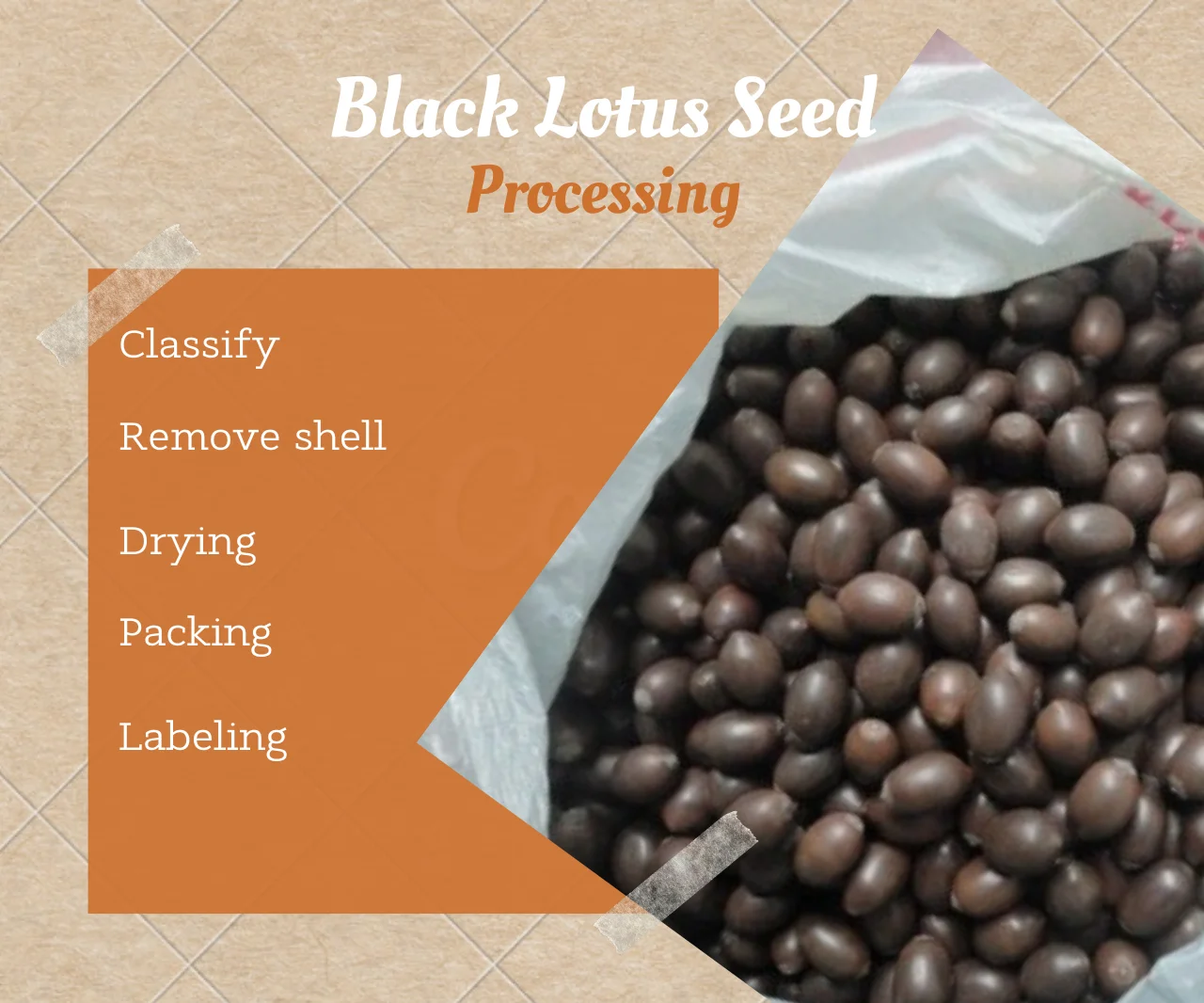 Dried Lotus Seeds Peeling Dry Lotus Seed Best Selling Wholesale 2023 ...