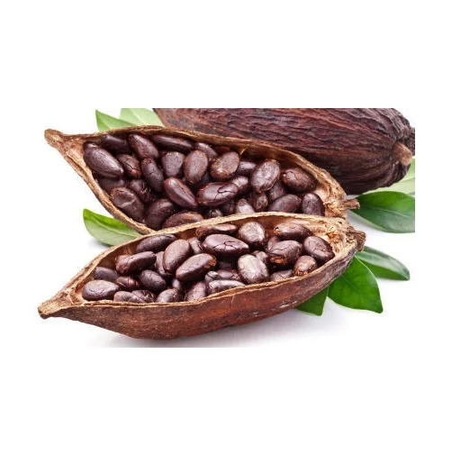 Cheap Price Supplier From Germany Cocoa Beans Ariba Cacao Beans Dried ...