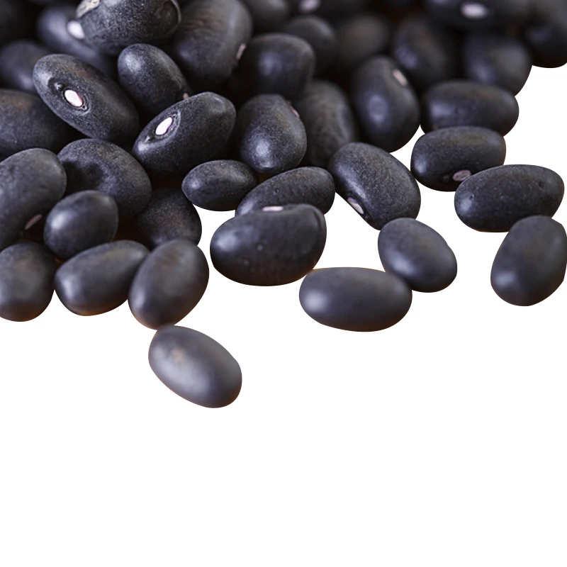 2024 New Product Organic Black Bean - Kidney Beans Export Black Kidney ...