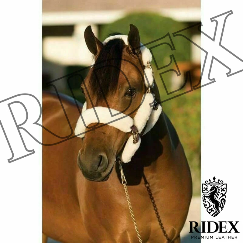 Products list direct from IN