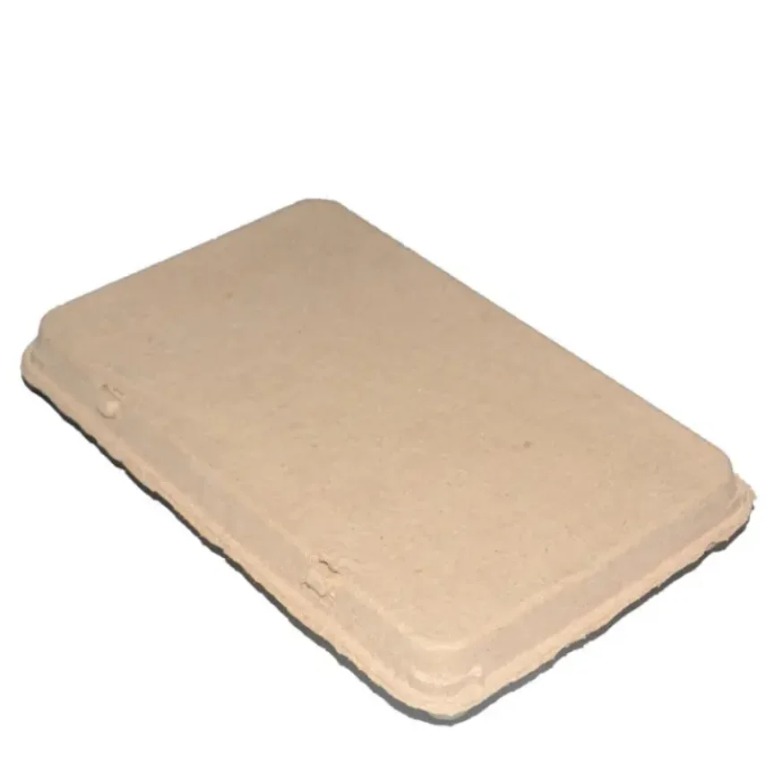Factory Wholesale Biodegradable 20 Cell Molded Paper Pulp Packaging ...