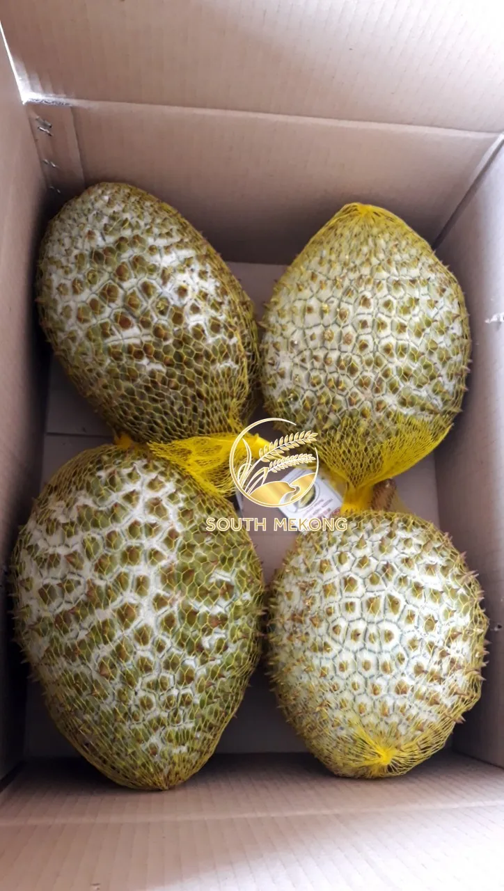 Fresh Durian Packing Tropical Style Box For Export . Whatsapp +84 ...