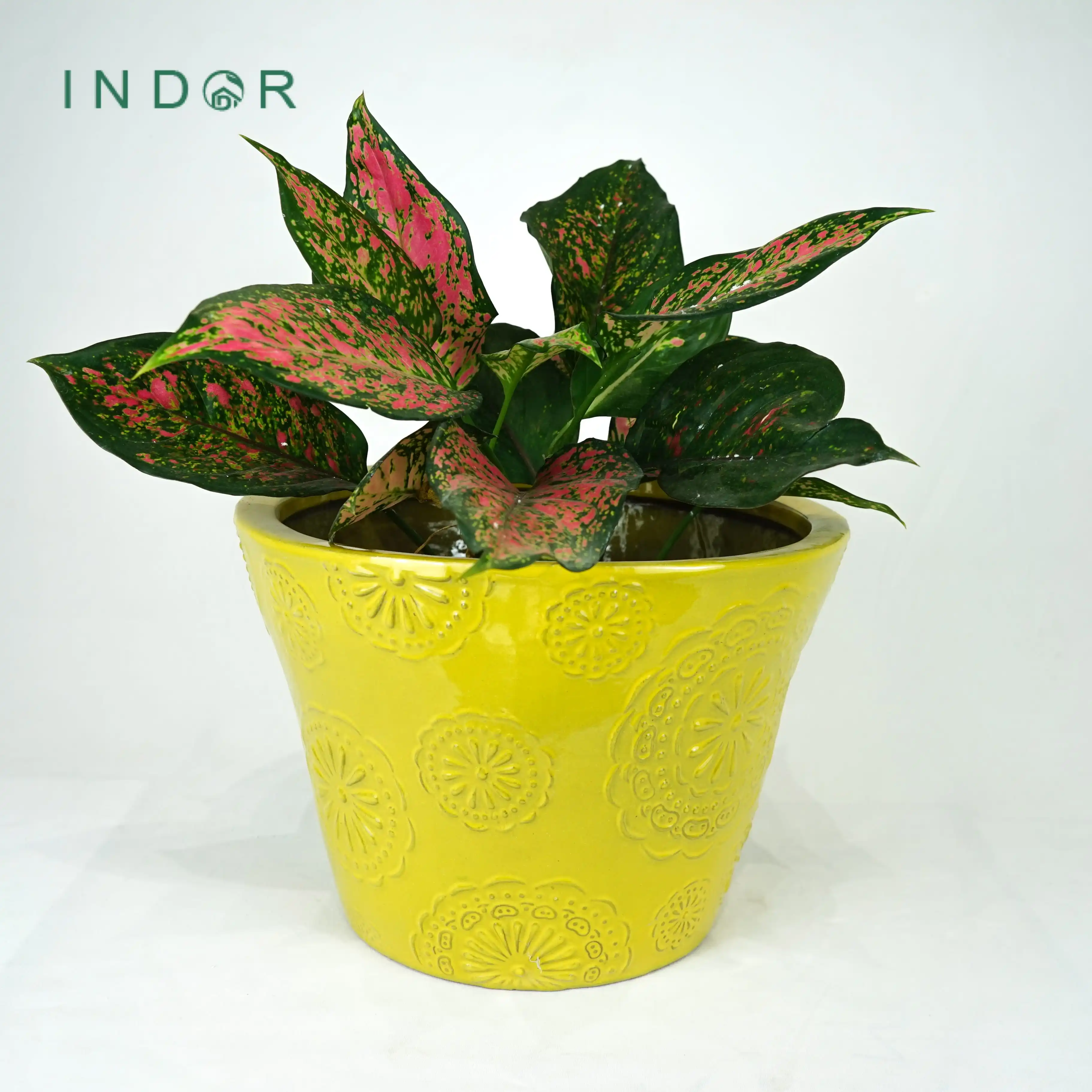 Hotel Mediterranean Cr16tps3 Use Indor Ceramic Tapered Shape Flower ...