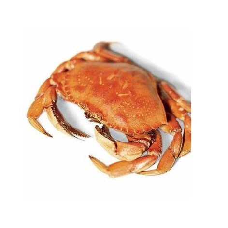 Frozen King Crab Live King Crabs King Crab Legs - Buy Soft Shell Crab ...