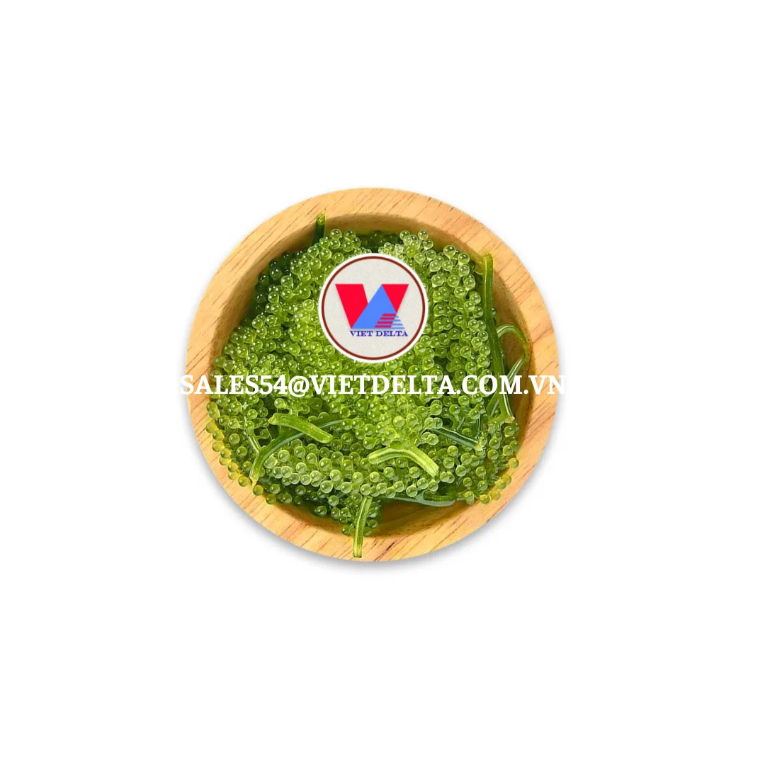 100% Clean Sea Grapes,Seaweed From Natural,No Chemical,Safe,Quality ...