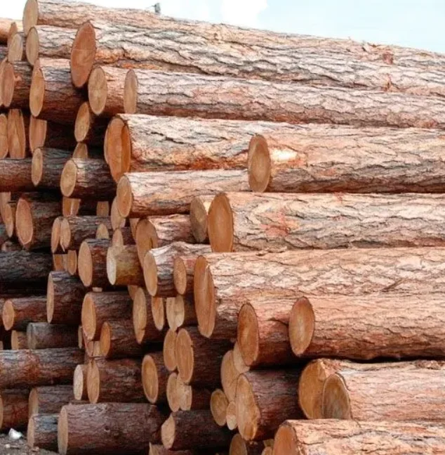 Cheap Pine Spruce Birch Oak Ash Logs/timber And Eucalyptus Timber Wood ...