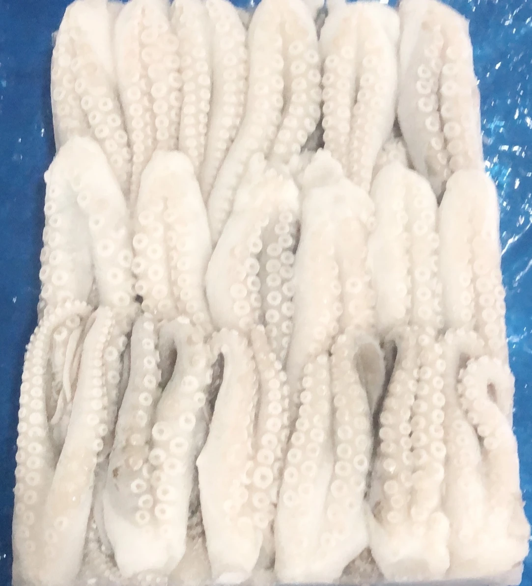 Cheap Frozen Baby Octopus/big Size Octopus With Competitive Price ...