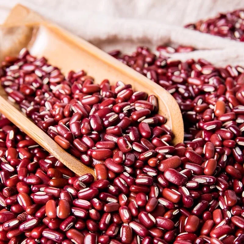 High Quality Dried Organic Round Type Small Red Azuki Beans Red Beans - Buy Ethiopian Red Kidney ...