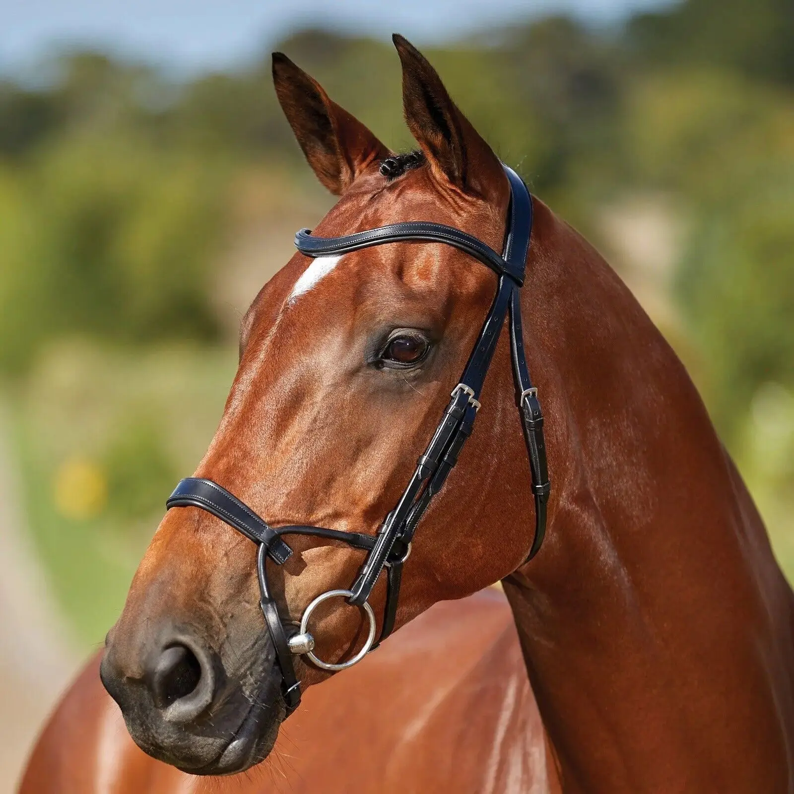 Anatomical collegiate bridle High Quality Horse Snaffle Leather Bridle ...