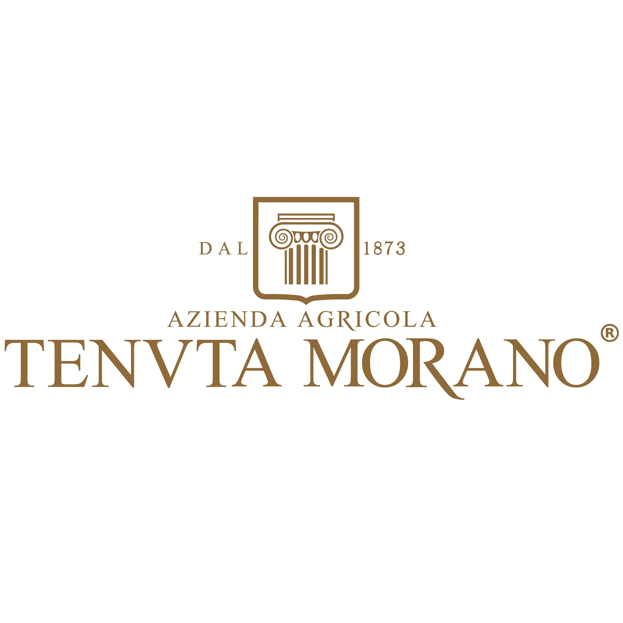 Company Overview - Azienda Agricola Tenuta Morano