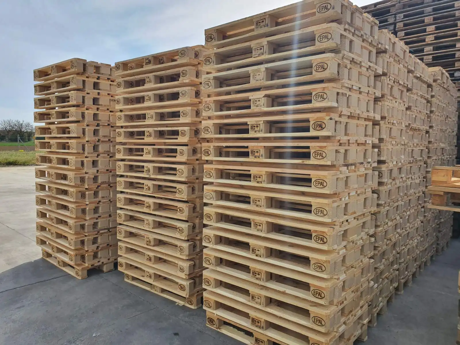 New & Used Epal Wooden Pallet ( Certified Euro Pallet ) - Buy Cheap ...