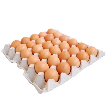 Cheap Farm Fresh White Shell Chicken Eggs Table Organic Fresh Chicken ...
