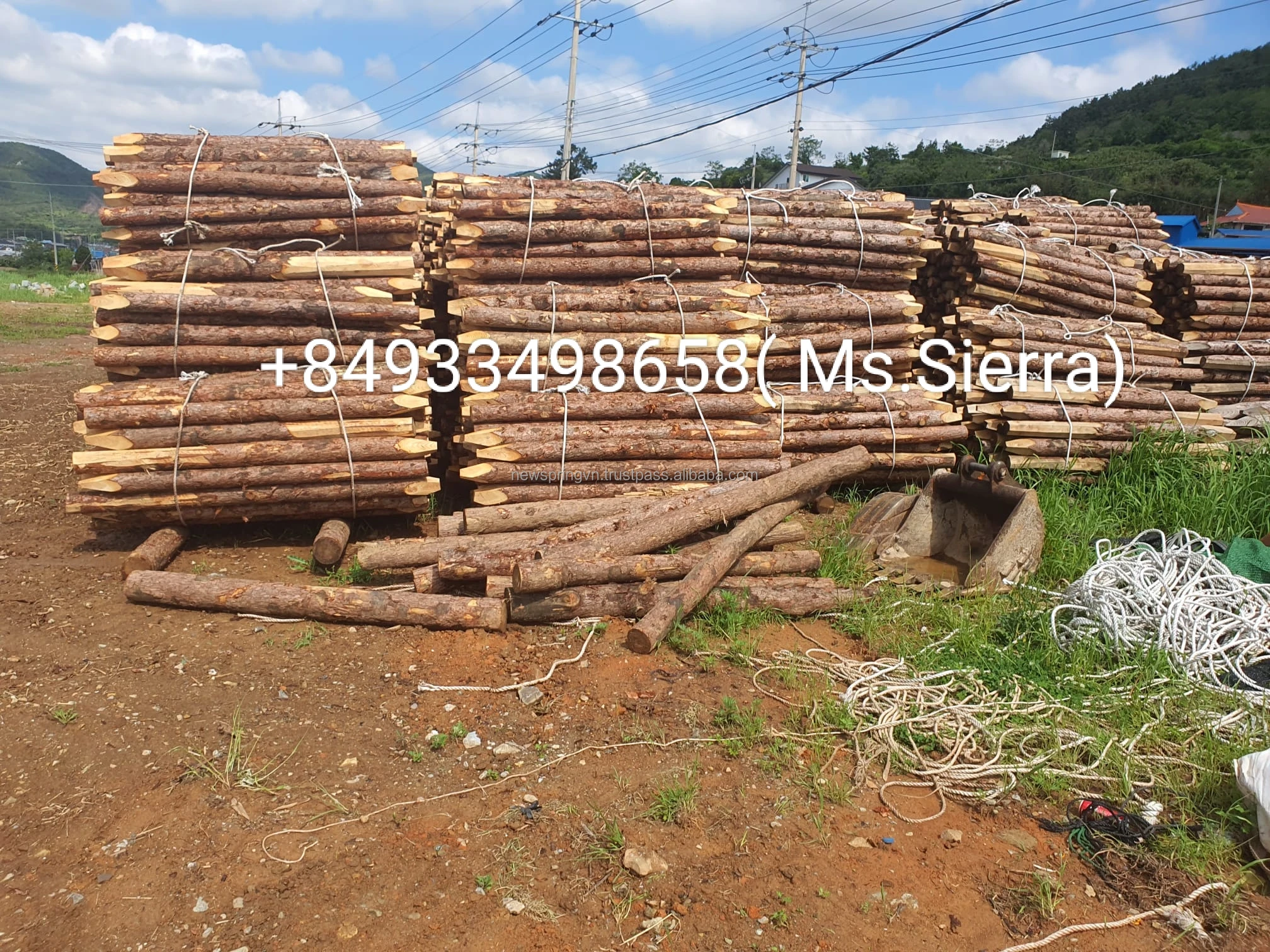 Wood Poles 8 Feet X 2 Inches Diameter With Many Uses As Tools And ...