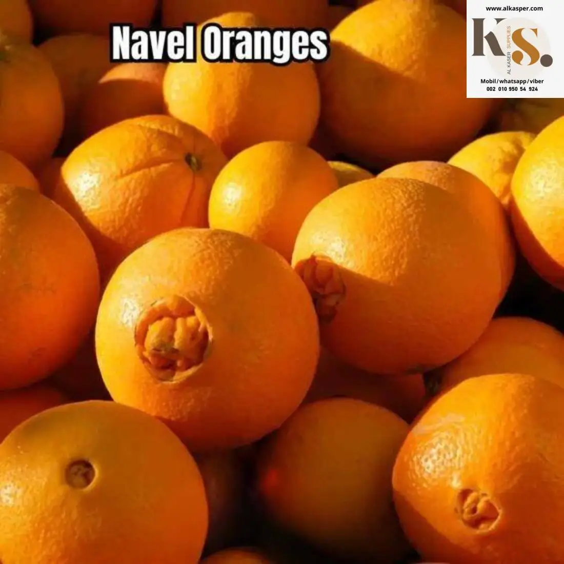 Navel Orange New Crops 2024 - With Best Price - And Best Quality - Buy ...