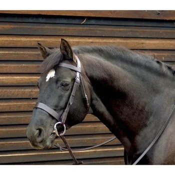 Hunter Bridle With Wide Cavesson Noseband - Black Full Raised Cavesson ...