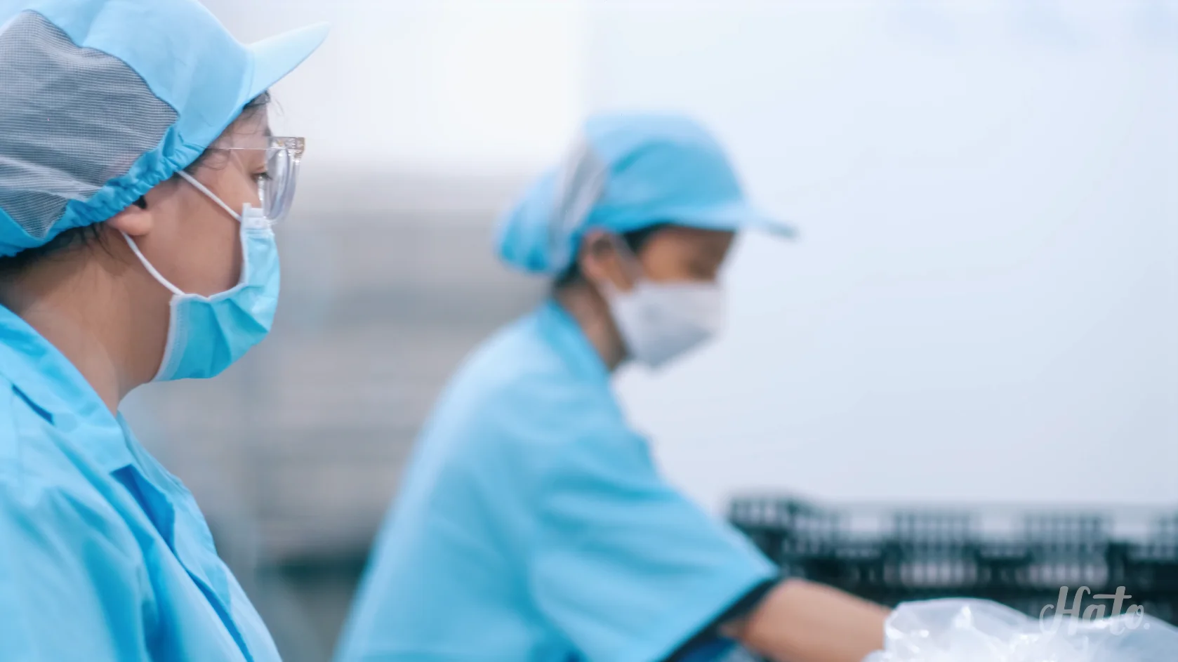 Super Spicy Dehydrated Whole Chilli Vietnamese Chilli Dried Style ...