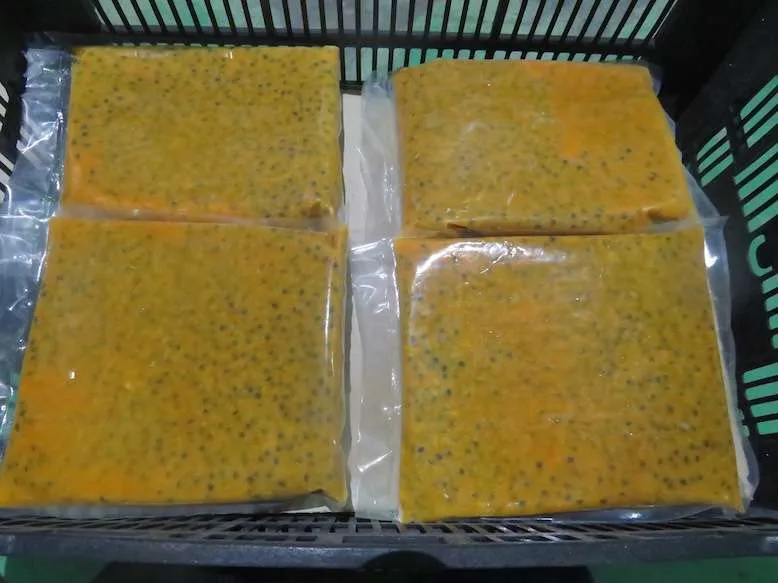 Dried Air Bladders Of Cod Fish Dried Cod Fish Maw With High Quality ...