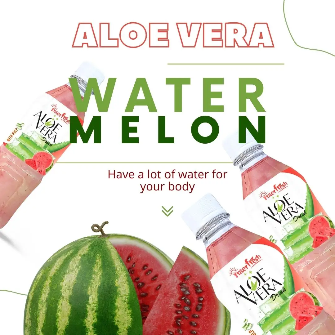 500ml Pet Bottle Aloe Vera Drink 24 X 500ml Fruit Flavor Aloe Grape ...