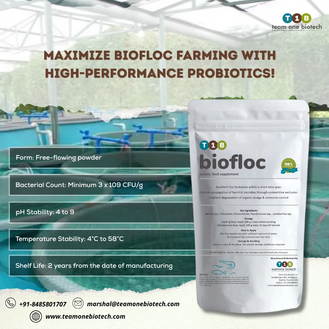 Aquaculture Fish Hatchery Biofloc Probiotic Powder Essential for ...