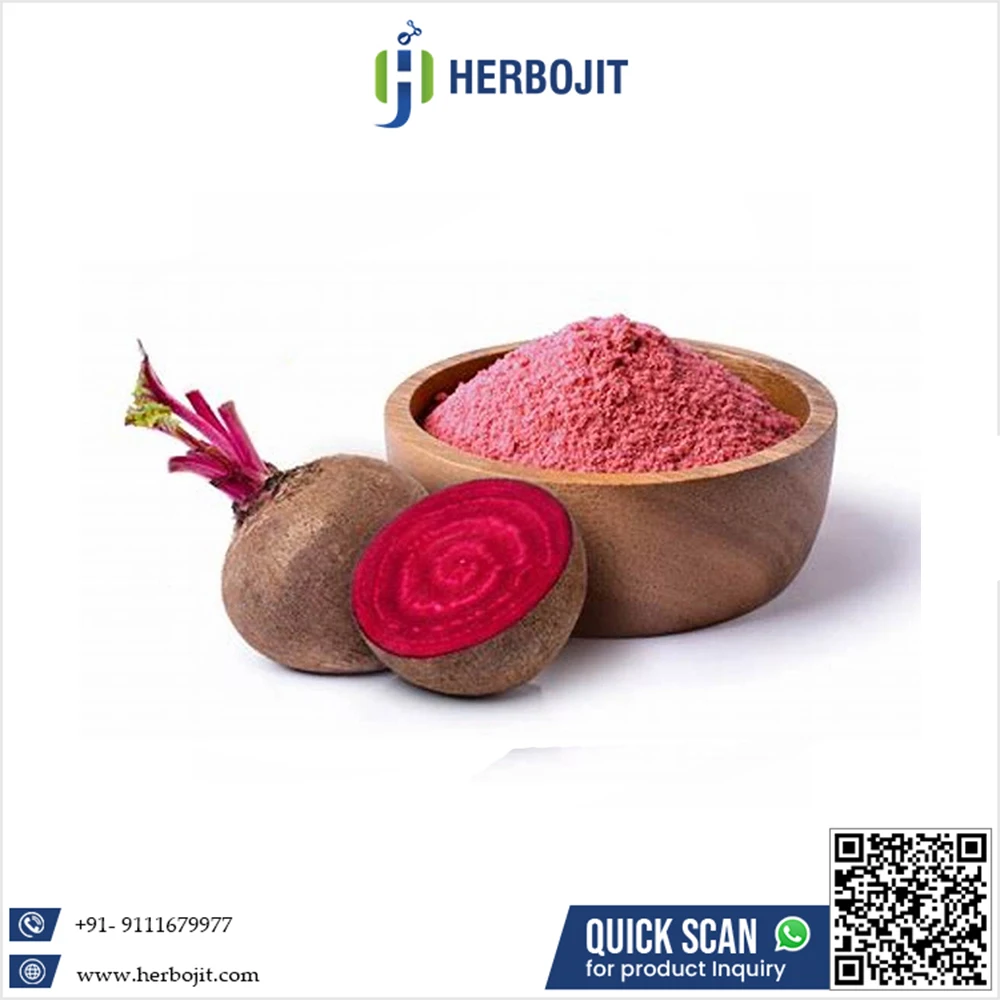 Buy Now Brand New Natural Indian Beetroot Powder Direct Factory ...