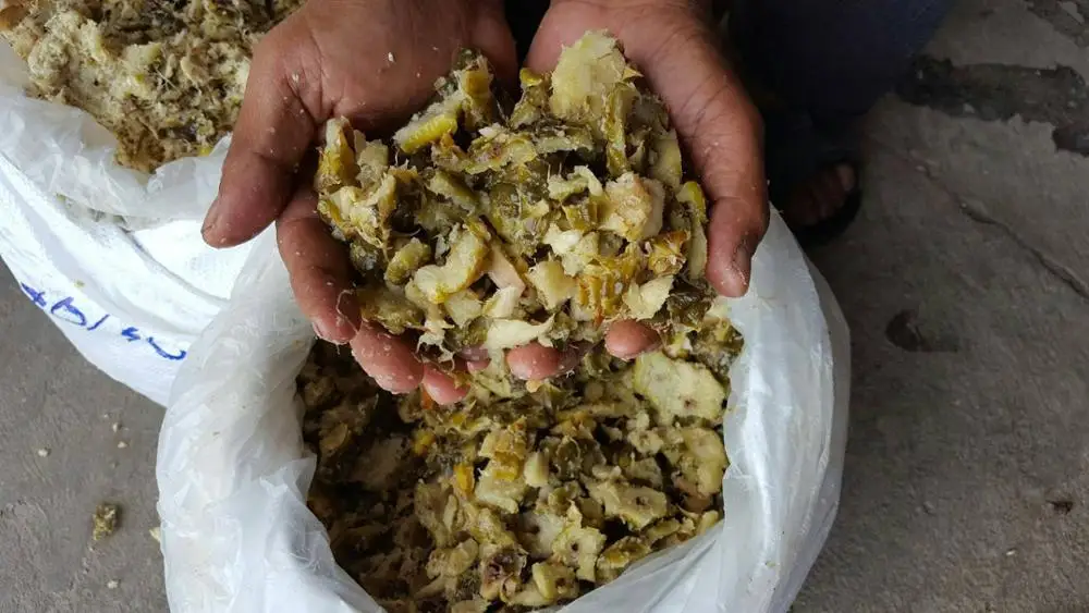 Pineapple Residue Silage - Buy Silage For Animal Herbs Tea Black Dried ...