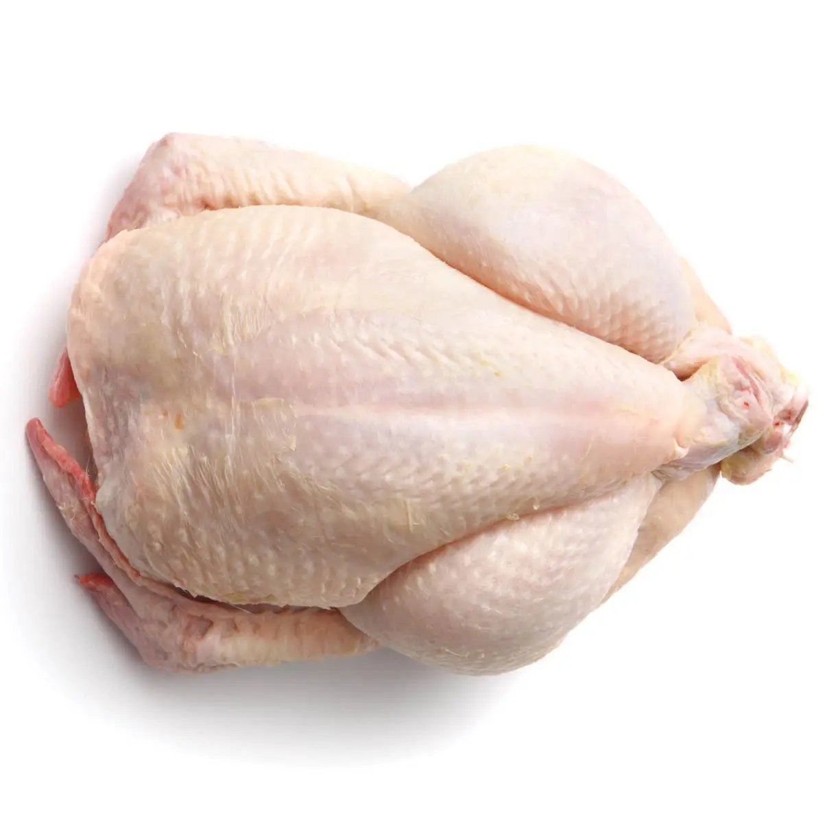 Top Quality Meat Chicken