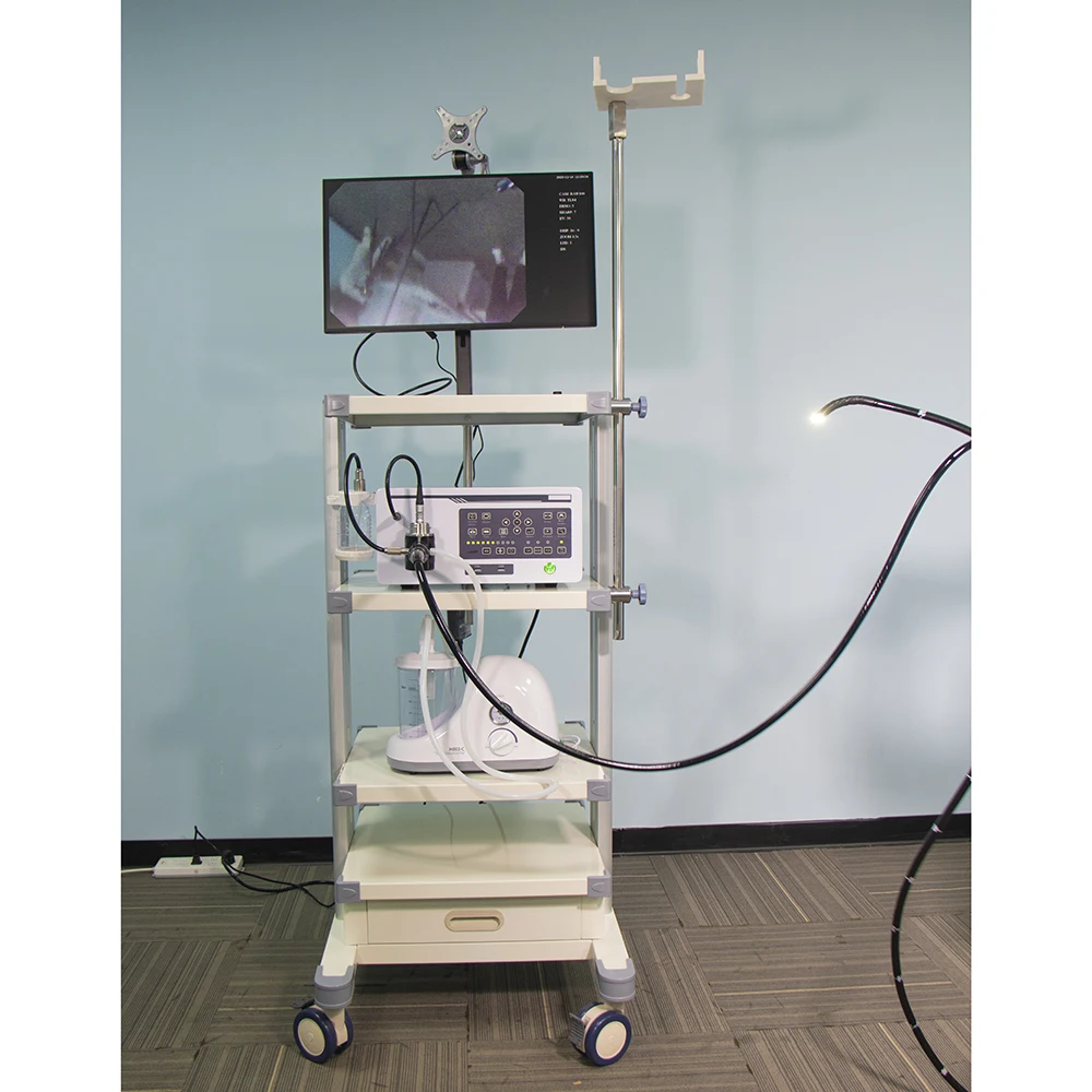 Veterinary Endoscope Video Gastroscope Bronchoscope Endoscopy Machine ...