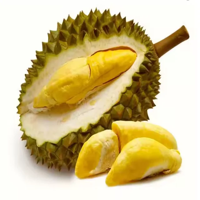 Malaysia Durian Premium Musang King Durian D197 Golden Fresh Whole Raub ...