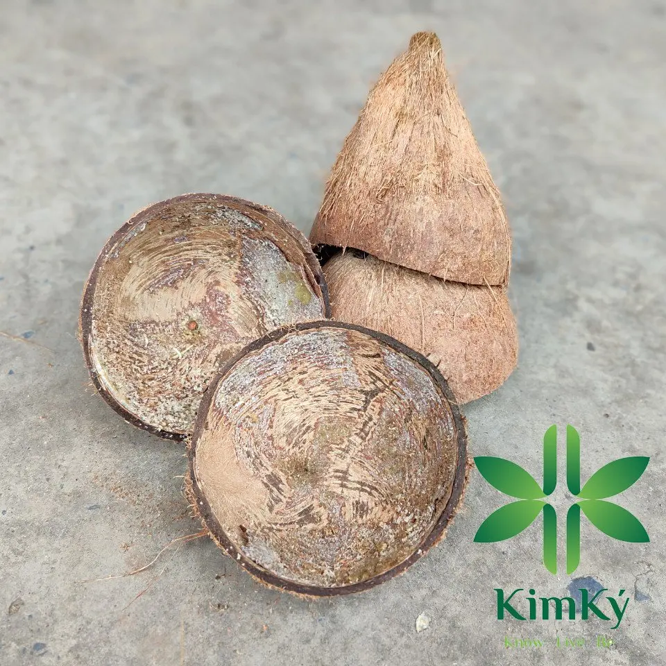 Eco Friendly Raw Material Coconut Shell Used For Charcoal For Growing ...