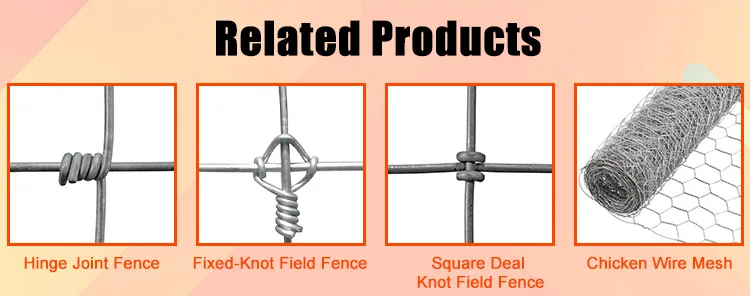 0.4mm Chicken Wire Galvanized Hexagonal Wire Mesh for Poultry Fence ...