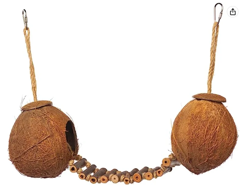 Handicraft And Sustainable Coconut Shell Bird House Parrot Safe And ...